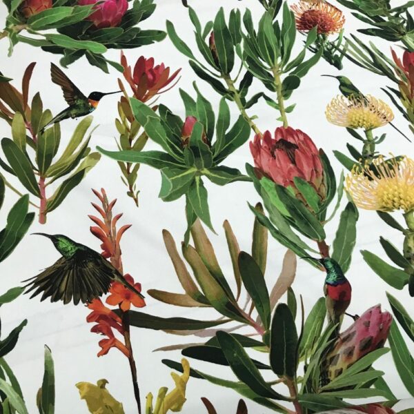 Hummingbird Cotton Bold Print Fabric - Global Fabrics